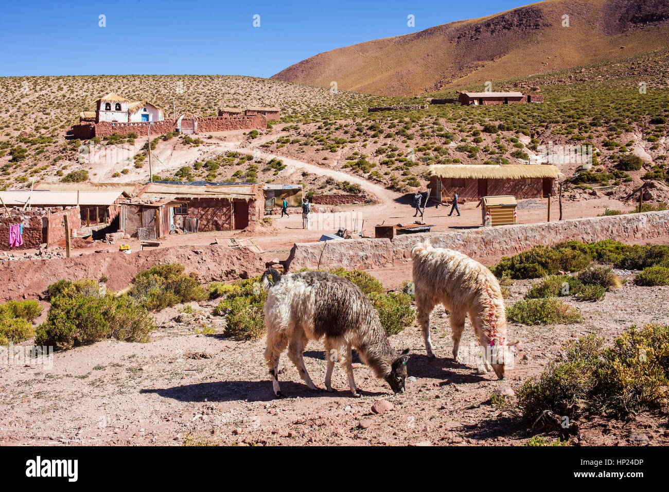 Machuca village, Atacama desert. Region de Antofagasta. Chile Stock ...