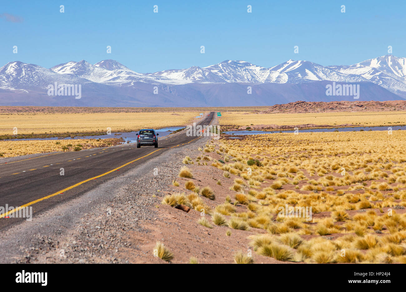 Altiplano, Puna, in background Andes Mountains, Road to Argentina by ...