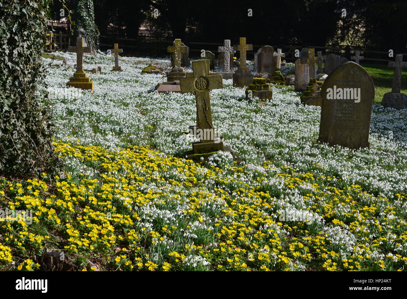 Pretty Graveyard Fall
