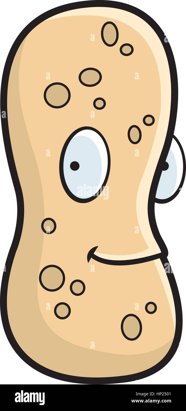 A cartoon small peanut smiling and happy Stock Vector Image & Art - Alamy