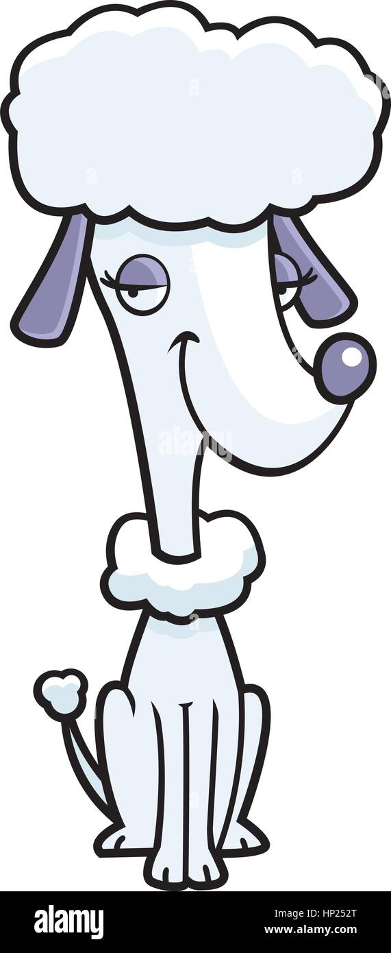 A cartoon Poodle dog smiling and happy Stock Vector Image & Art - Alamy