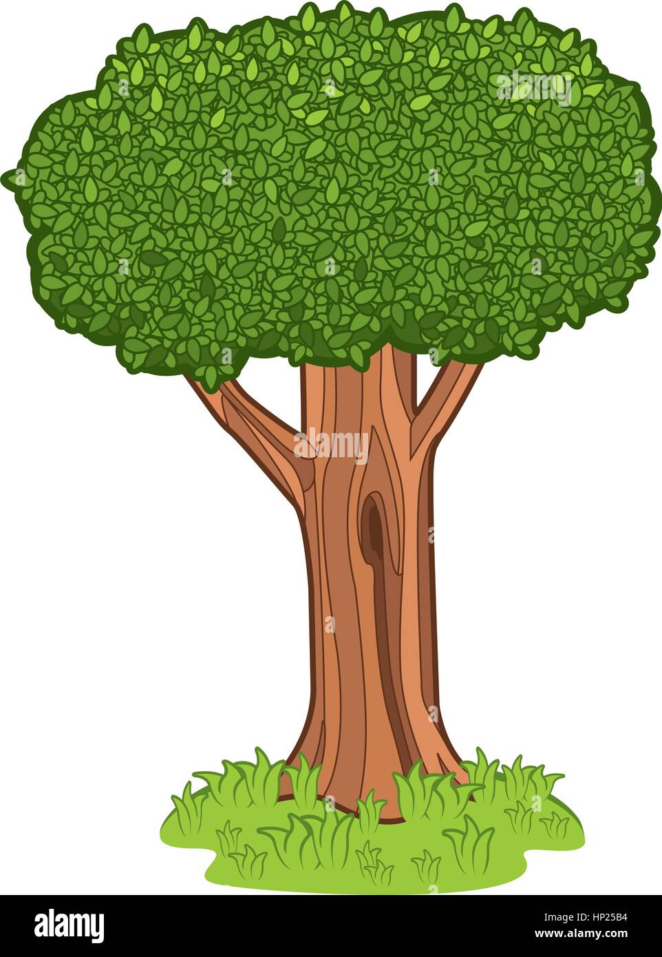 Animated Tree Growing