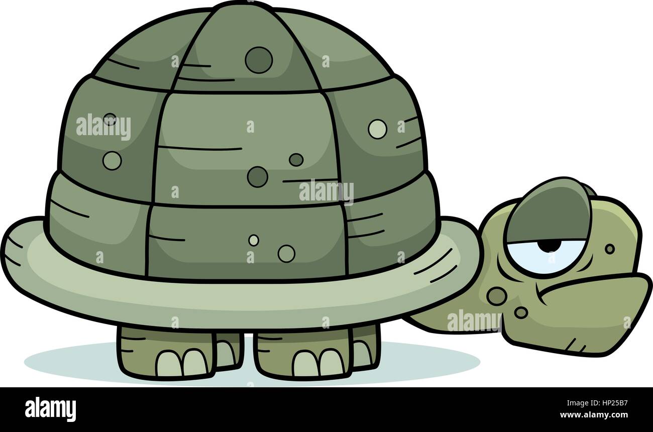 A cartoon turtle with an unhappy expression Stock Vector Image & Art ...