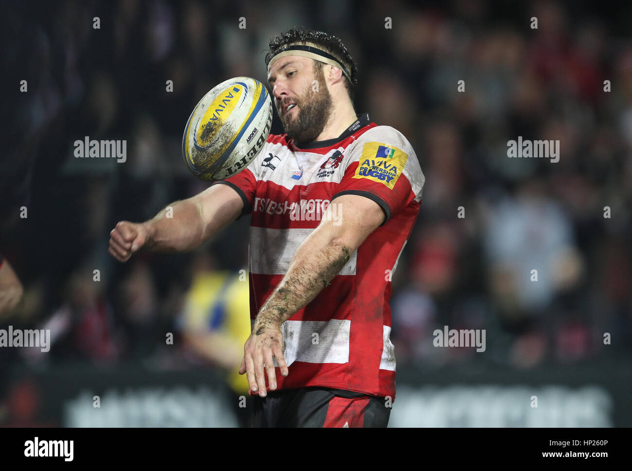 Jeremy thrush hi-res stock photography and images - Alamy