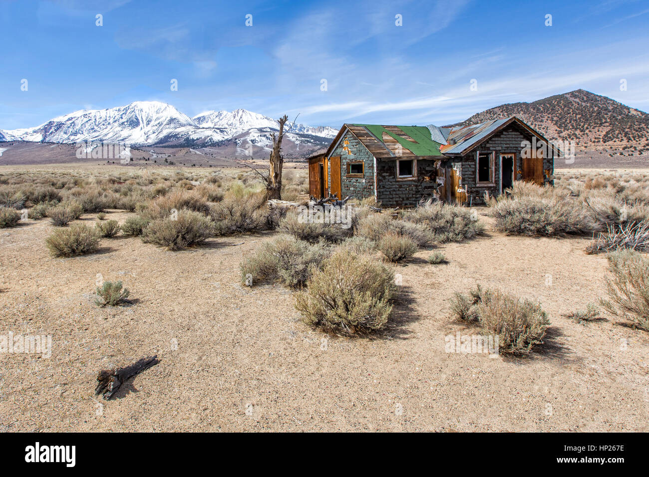 Abandoned shack hi-res stock photography and images - Alamy