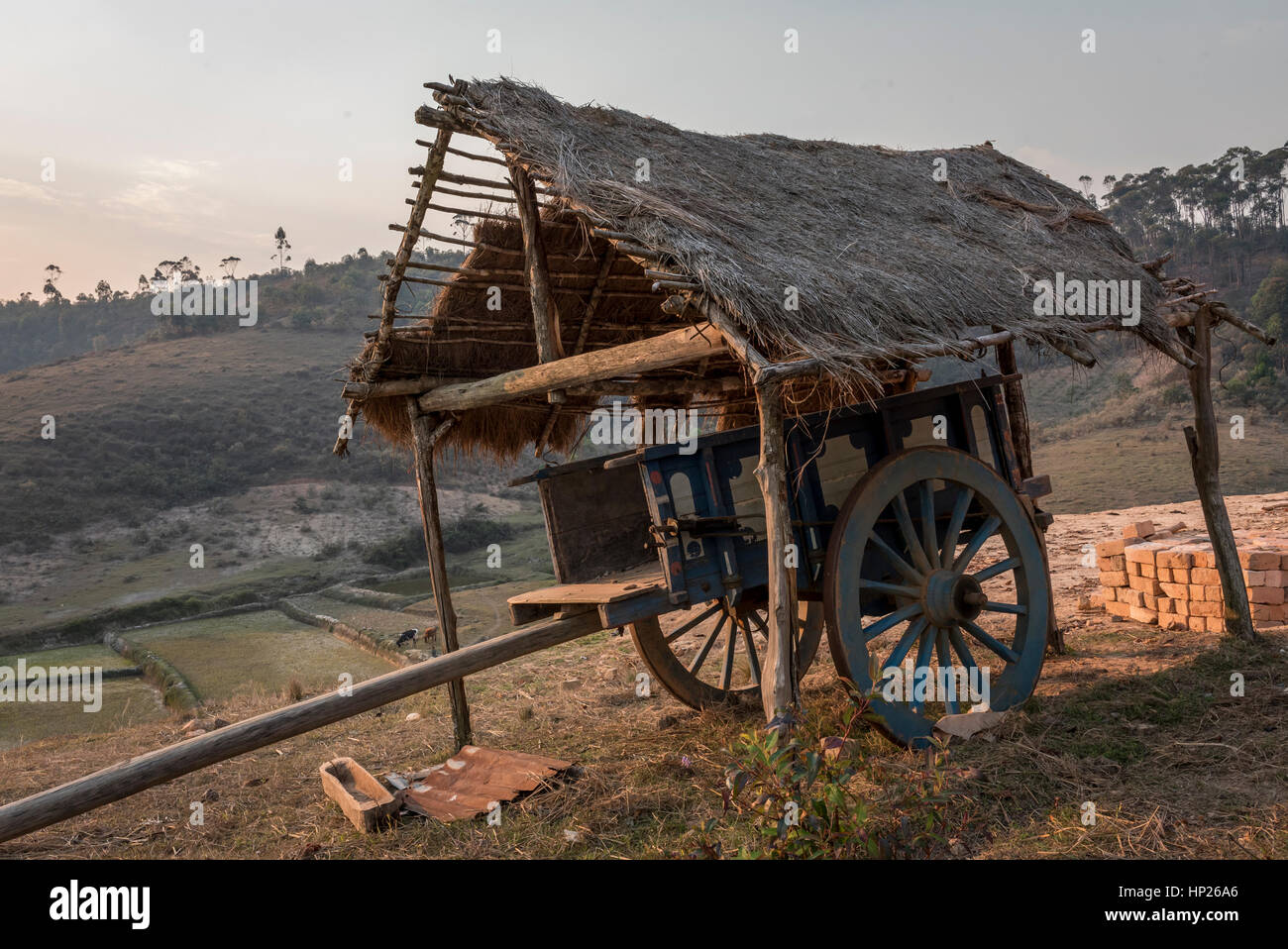 Cow drawn carriage hi-res stock photography and images - Alamy