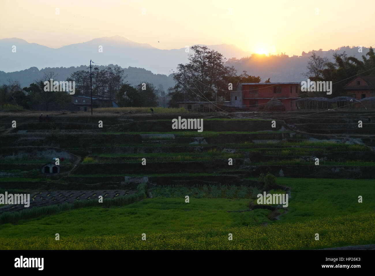Nepal agriculture hi-res stock photography and images - Alamy
