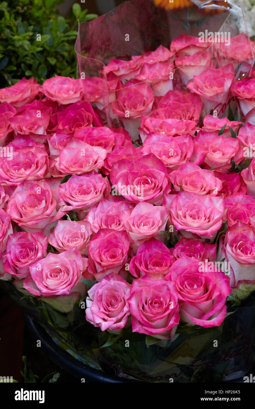 Detail of a bunch of pink roses Stock Photo - Alamy