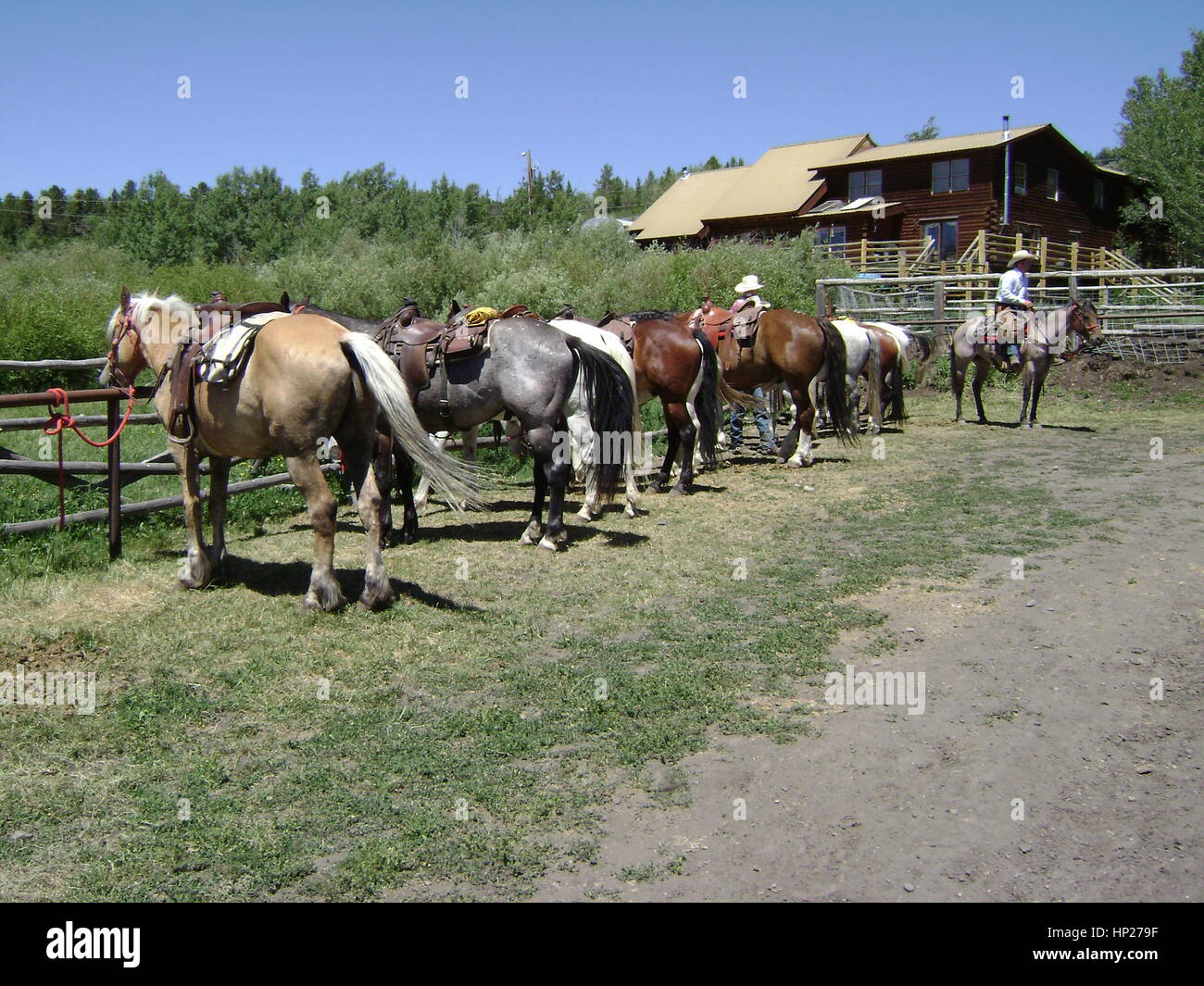 Dude ranches hi-res stock photography and images - Alamy