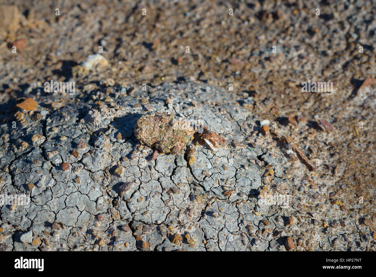 Natural stone with gold, Sakhalin, Russia Stock Photo - Alamy