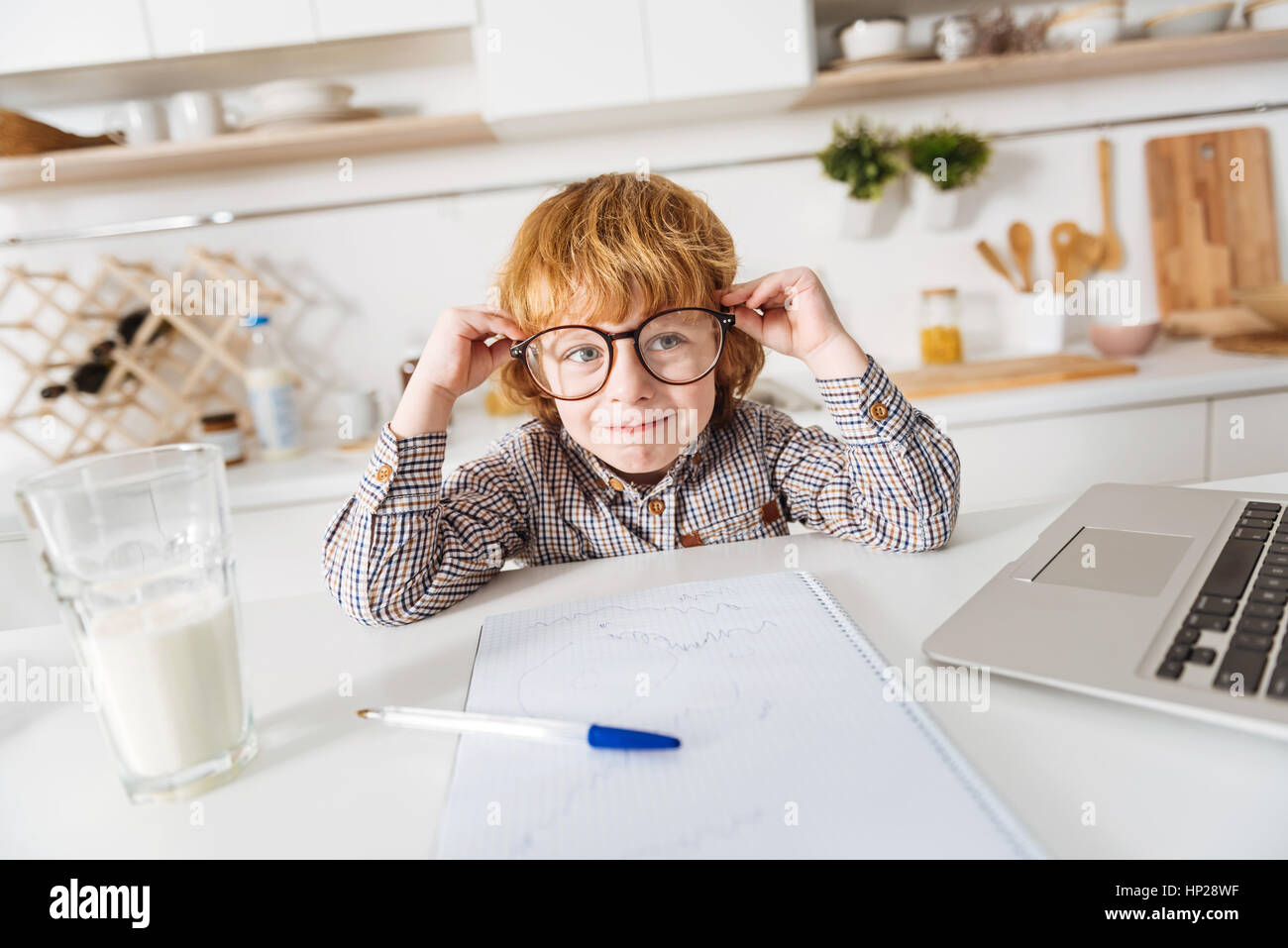 Ginger in the morning hi-res stock photography and images - Alamy