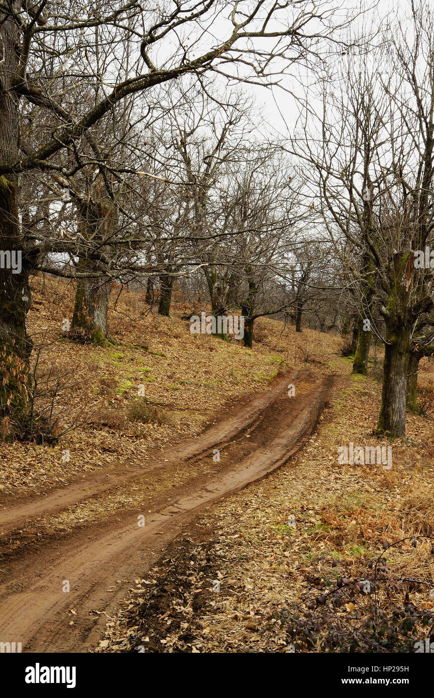 Red ground road perspective blue red travel hi-res stock photography ...
