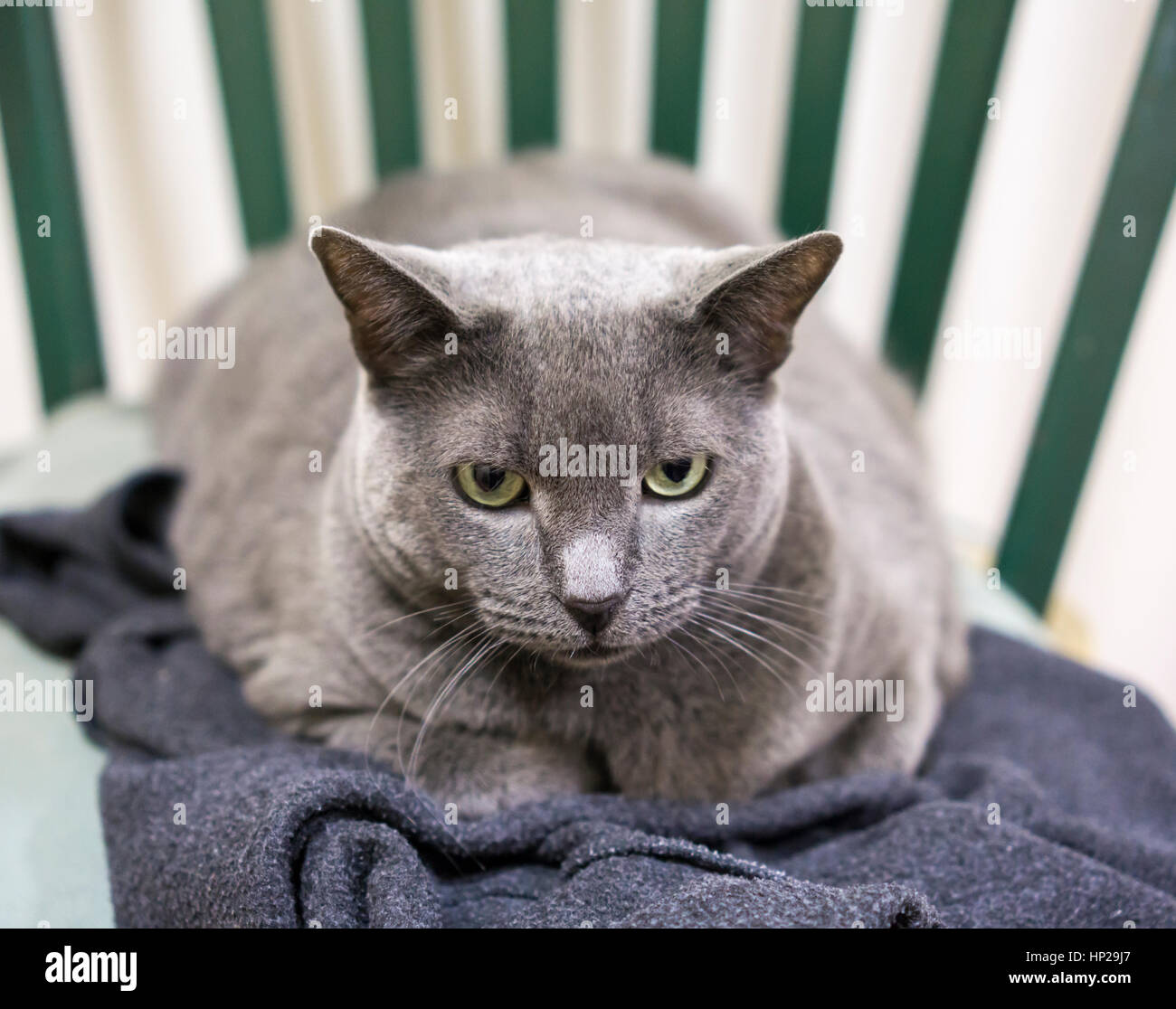 Richard katz hi-res stock photography and images - Alamy