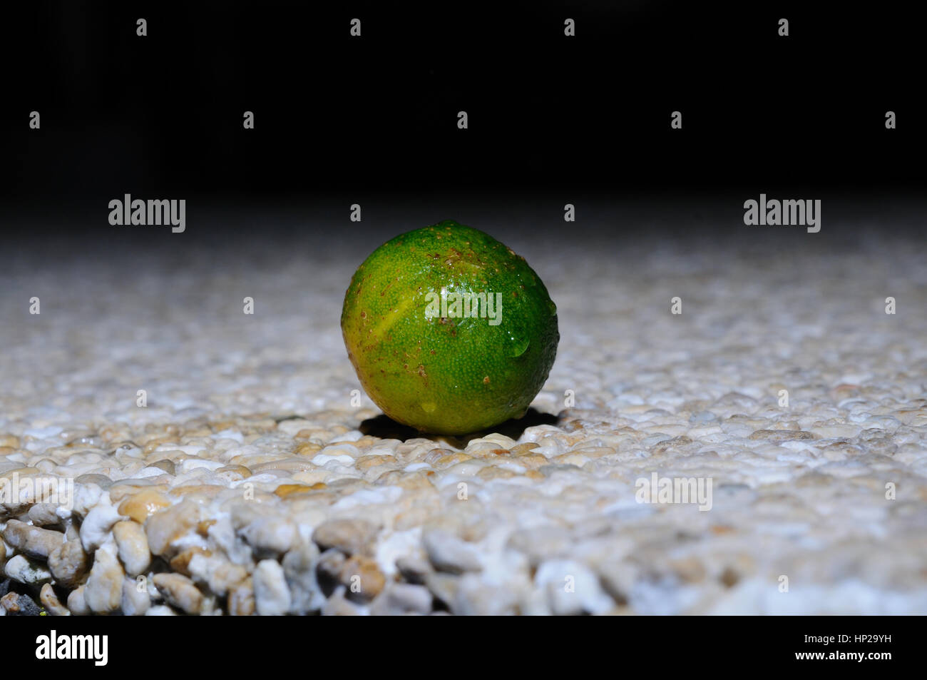 Wet lemonsito (kalamansi) is lying on an artificial stone surface ...