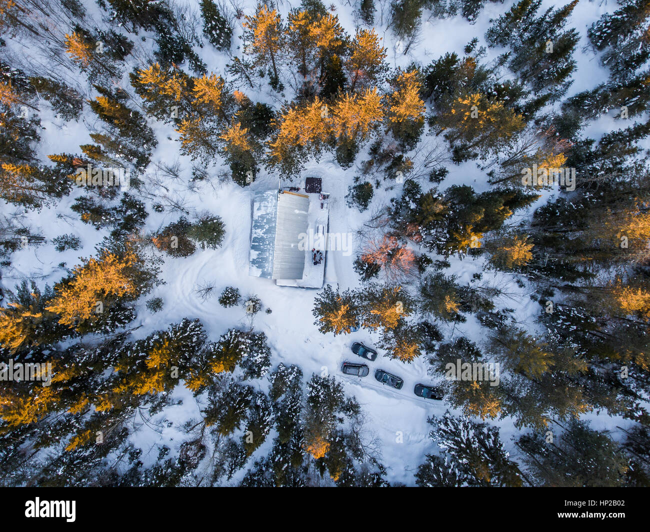 Wood in winter aerial landscape hi-res stock photography and images - Alamy