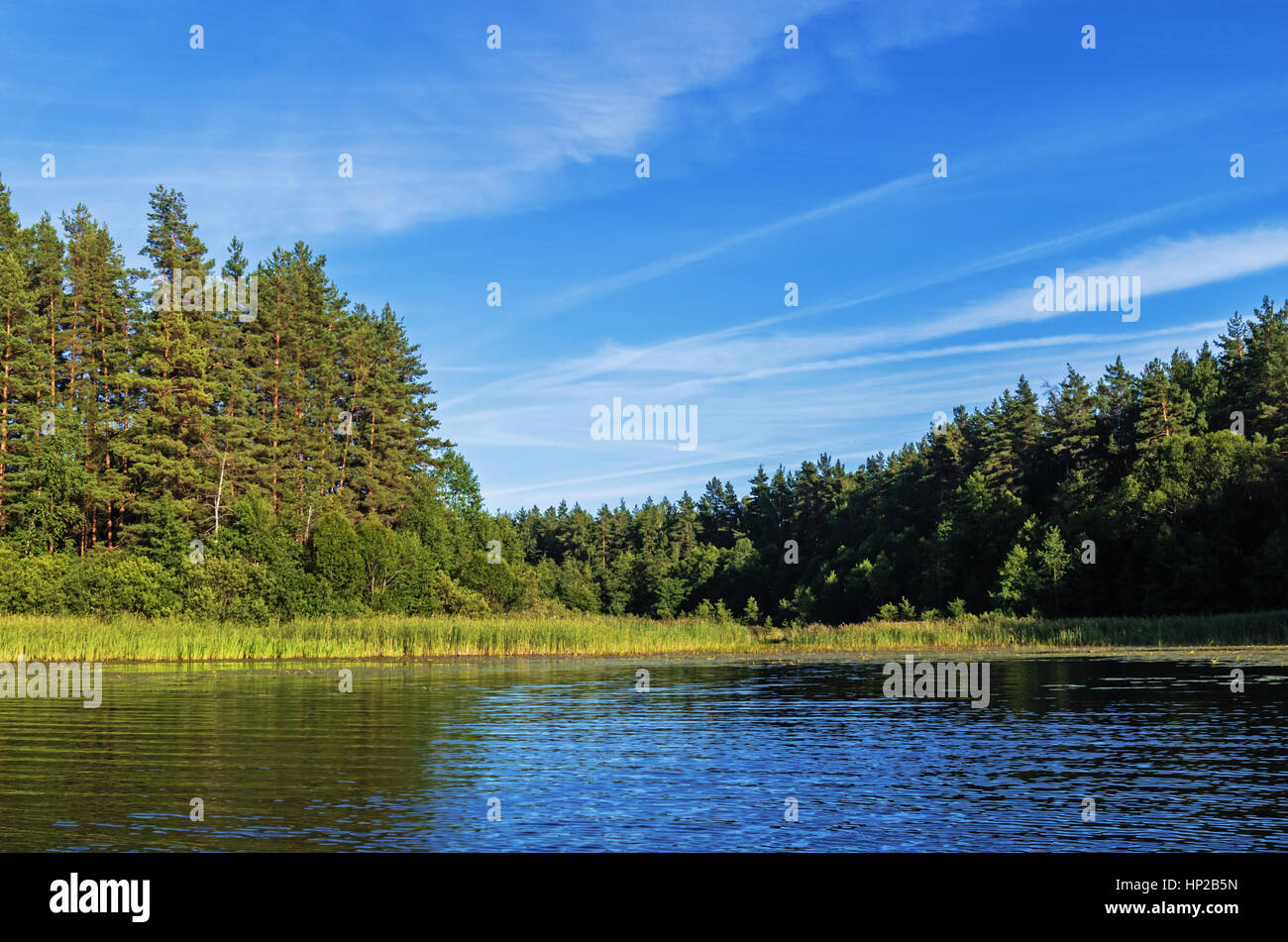 Forest lake landscape Stock Photo - Alamy