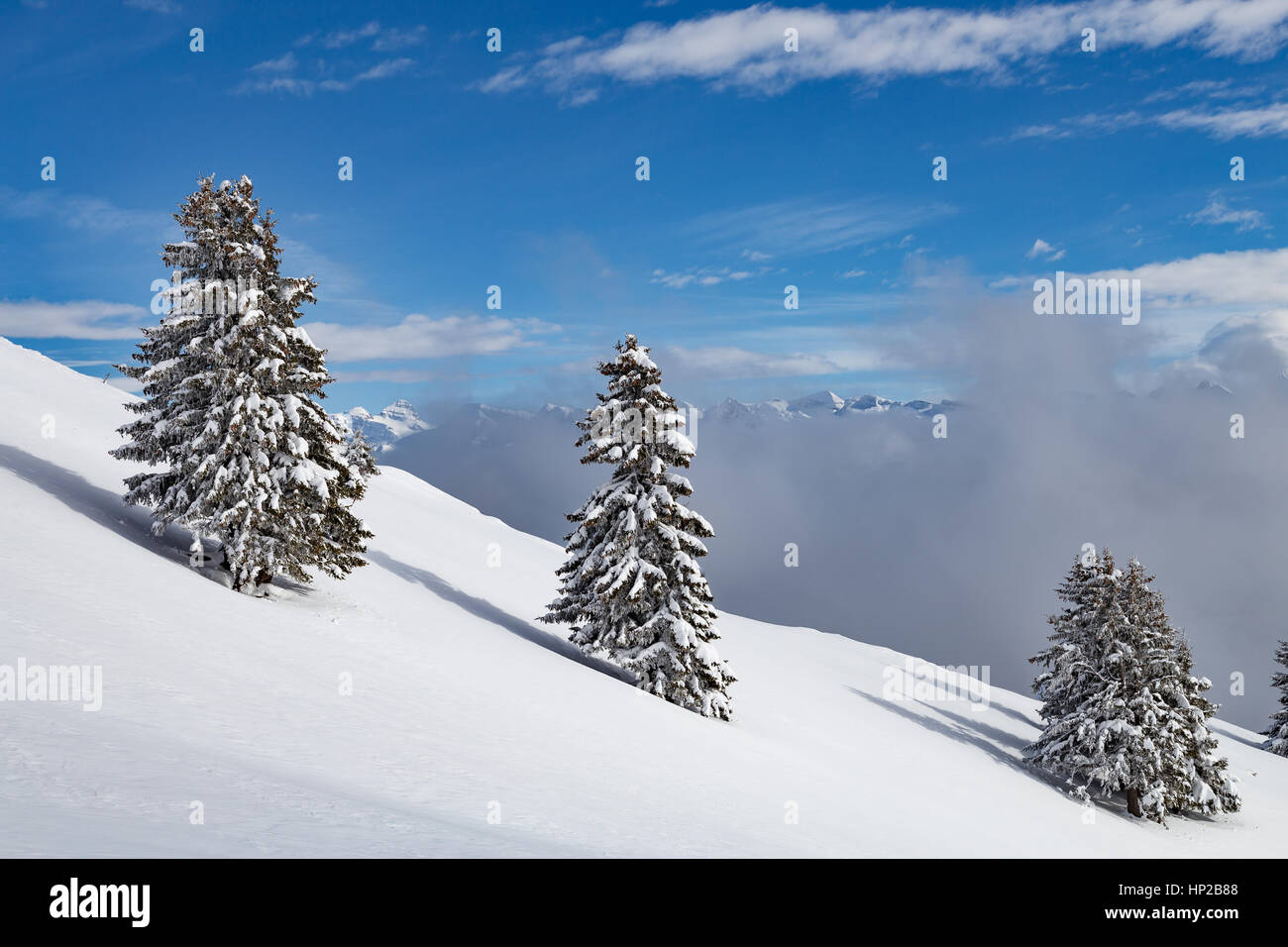 Snow covered landscape with clouds and trees in the Alps Stock Photo ...