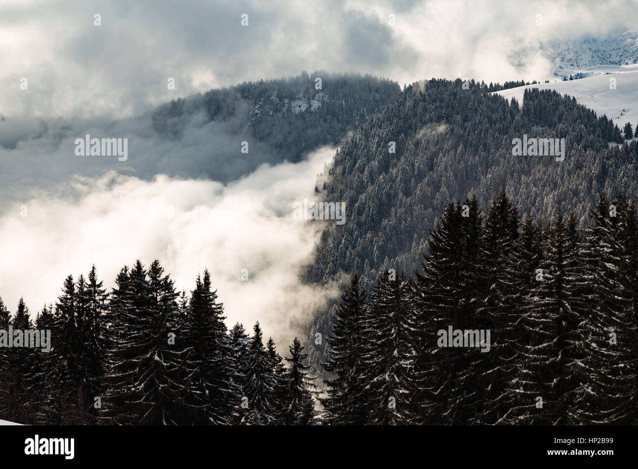 Valley covered in clouds with tree covered mountains in The Alps Stock ...