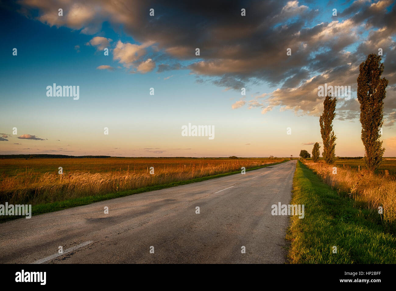 Summer road in sunset Stock Photo - Alamy