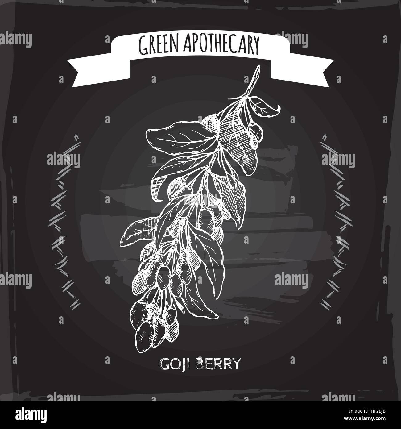 Lycium barbarum aka Goji berry sketch on blackboard background Stock ...