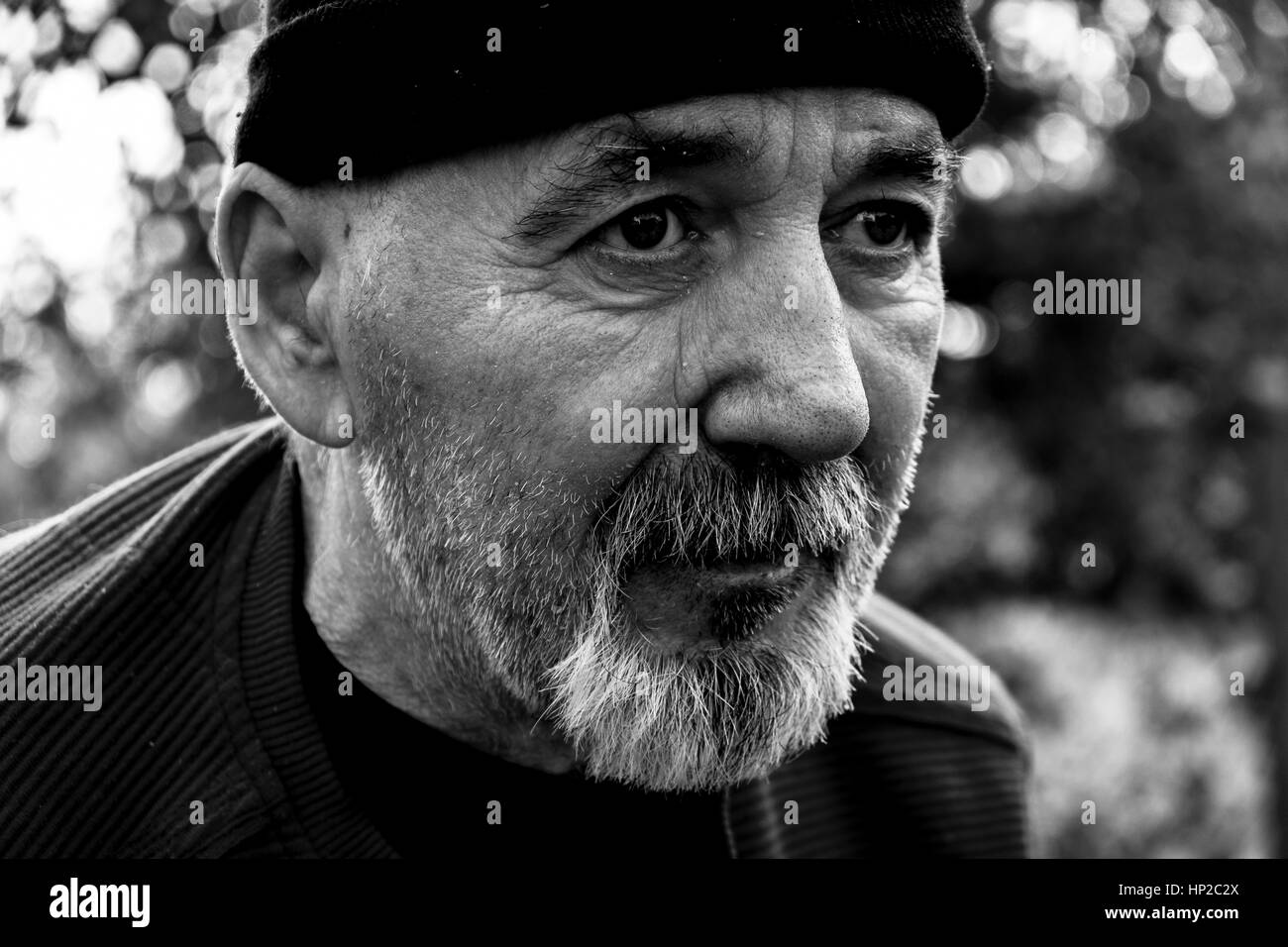 Senior man portrait Stock Photo - Alamy