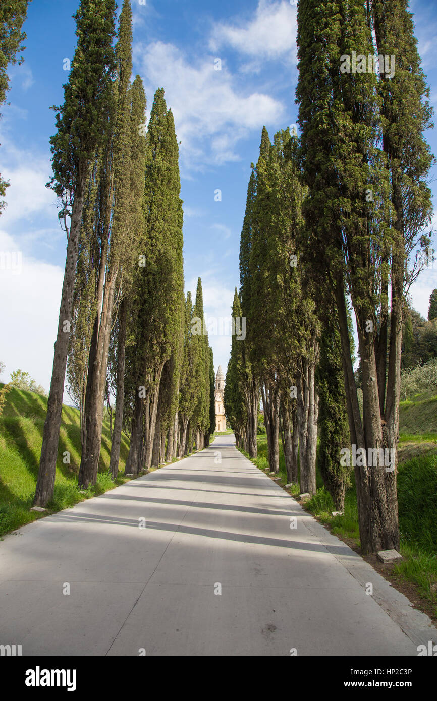 Path lined with cypress trees hi-res stock photography and images - Alamy