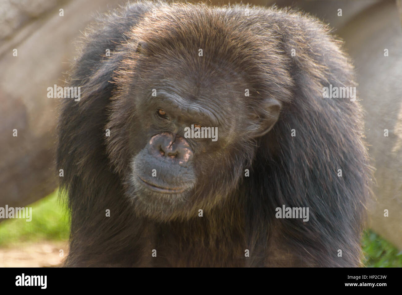 African wildlife habitat preservation hi-res stock photography and ...