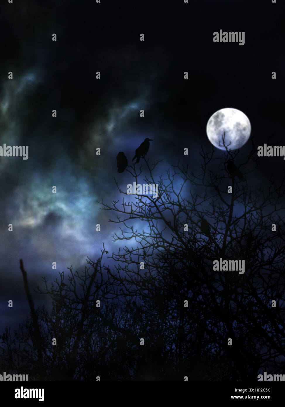 Full moon and forest with birds Stock Photo - Alamy