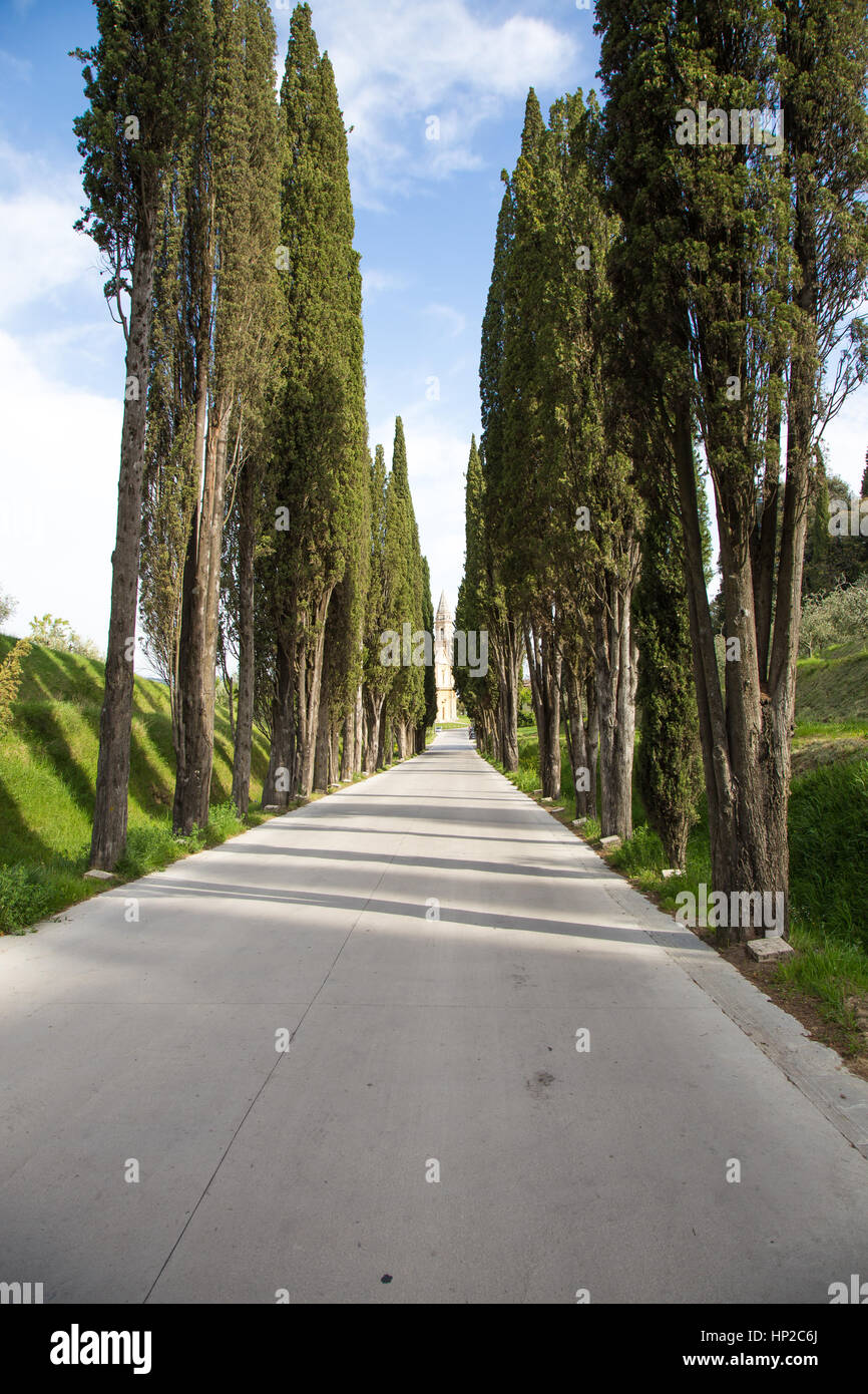 Path lined with cypress trees hi-res stock photography and images - Alamy