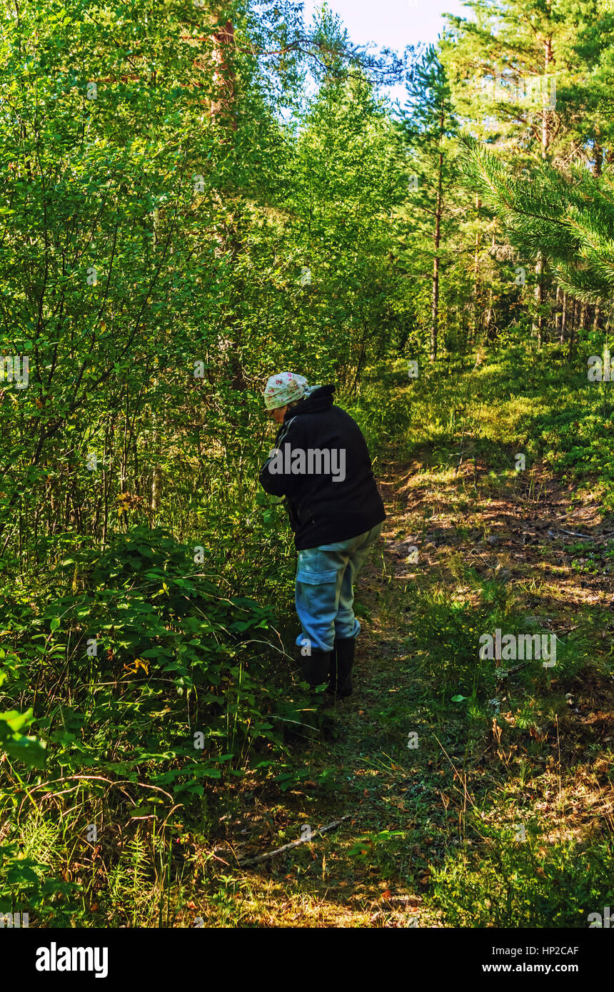 Gathering berries in the wood Stock Photo - Alamy