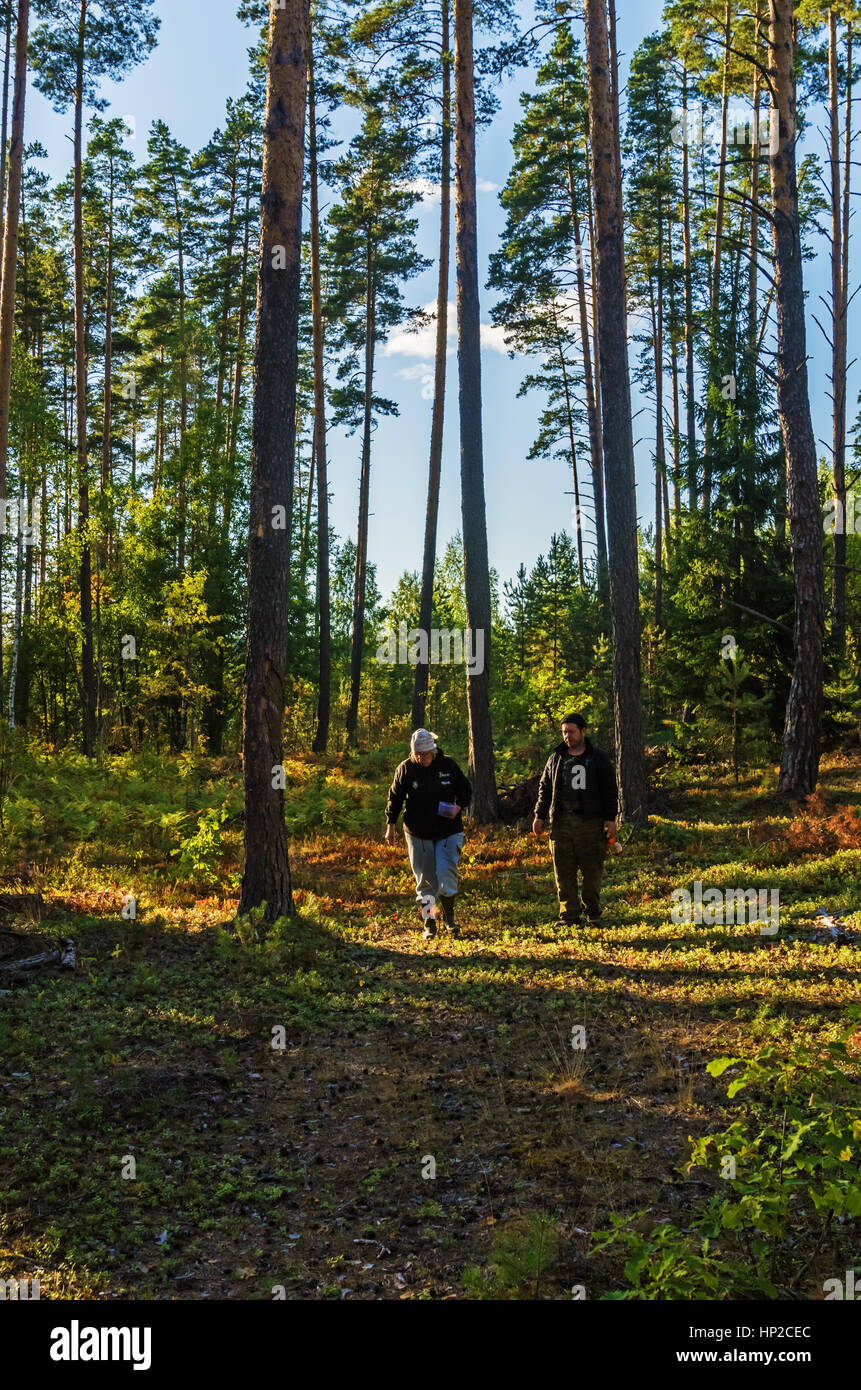 Gathering berries in the wood Stock Photo - Alamy