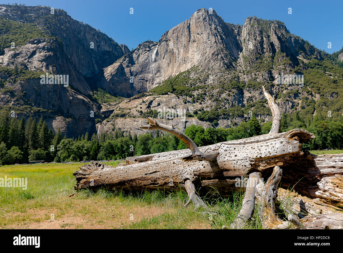 Tunnel view on yosemite valley hi-res stock photography and images - Alamy