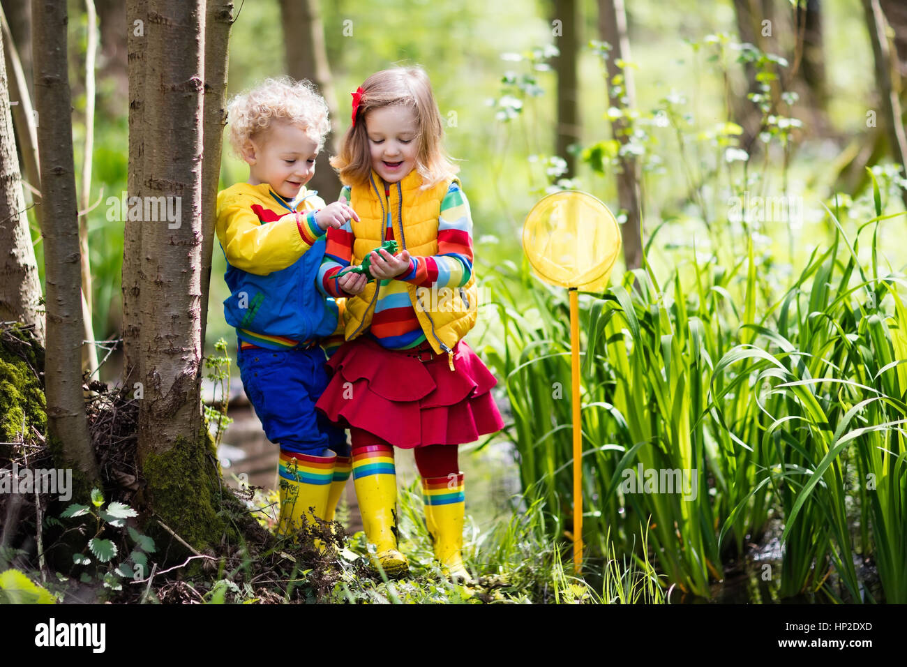 Children playing outdoors. Preschool kids catching frog with net. Boy ...