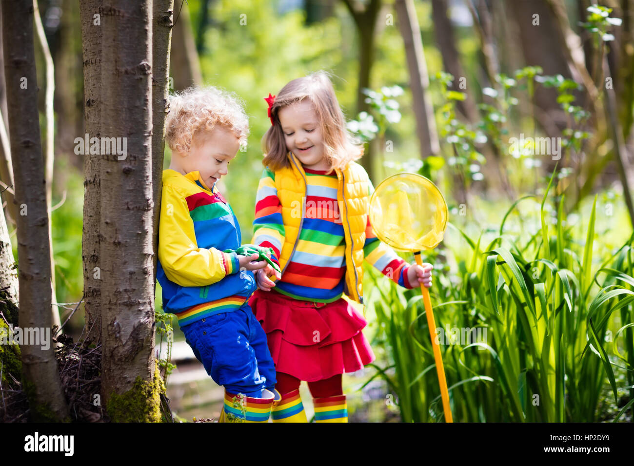 Children playing outdoors. Preschool kids catching frog with net. Boy ...