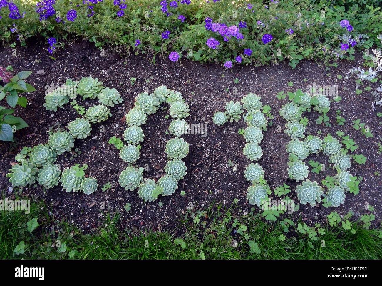 Year 2016 written in a flowerbed Stock Photo - Alamy