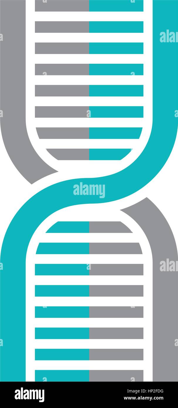 Human dna symbol icon vector illustration graphic design Stock Vector ...