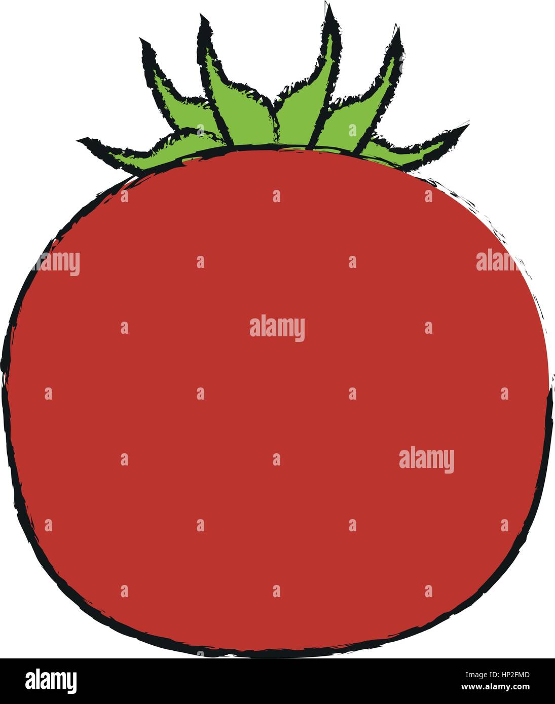 tomato vegetable icon over white background. colorful design. vector ...