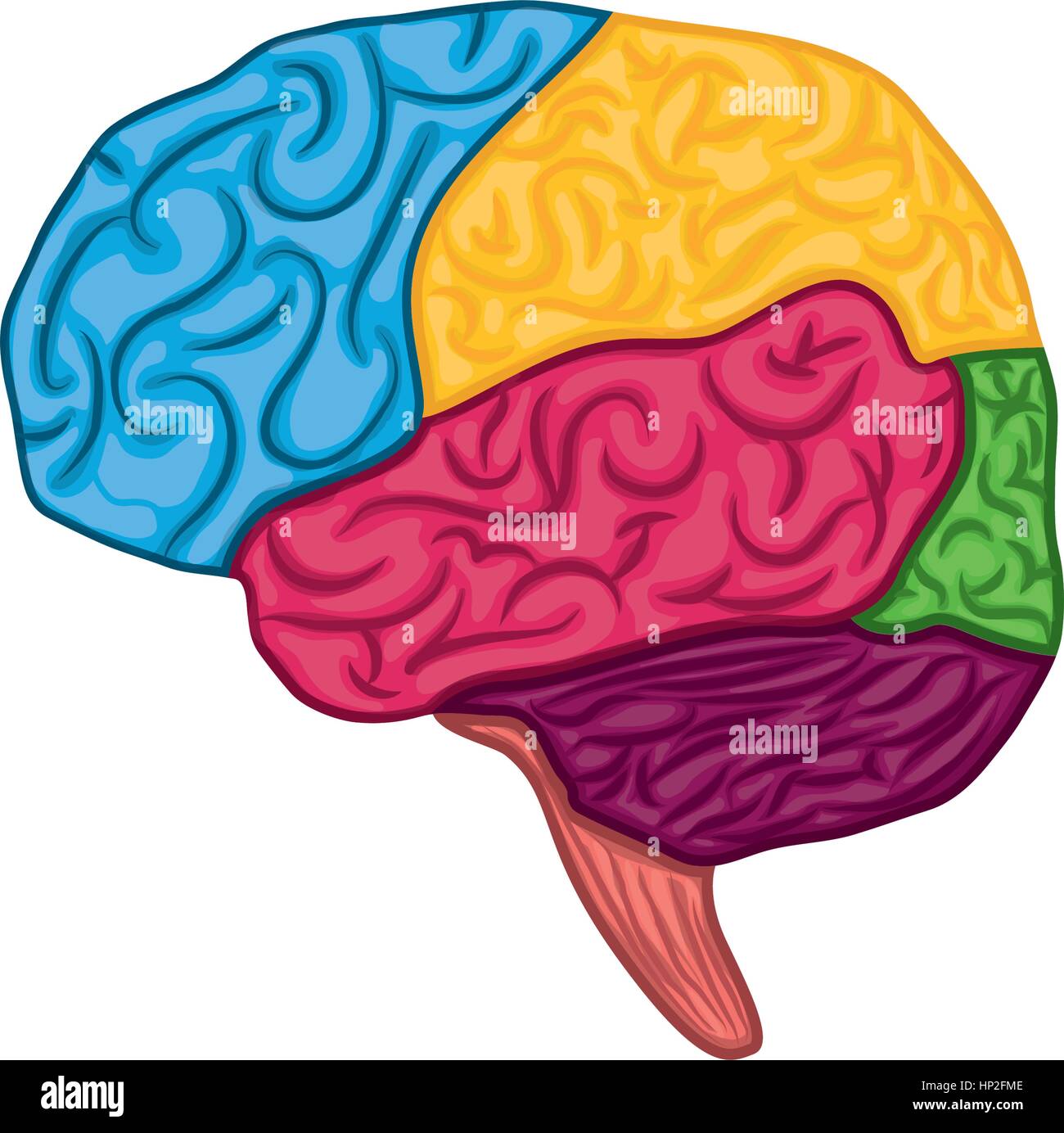 Human brain symbol icon vector illustration graphic design Stock Vector ...