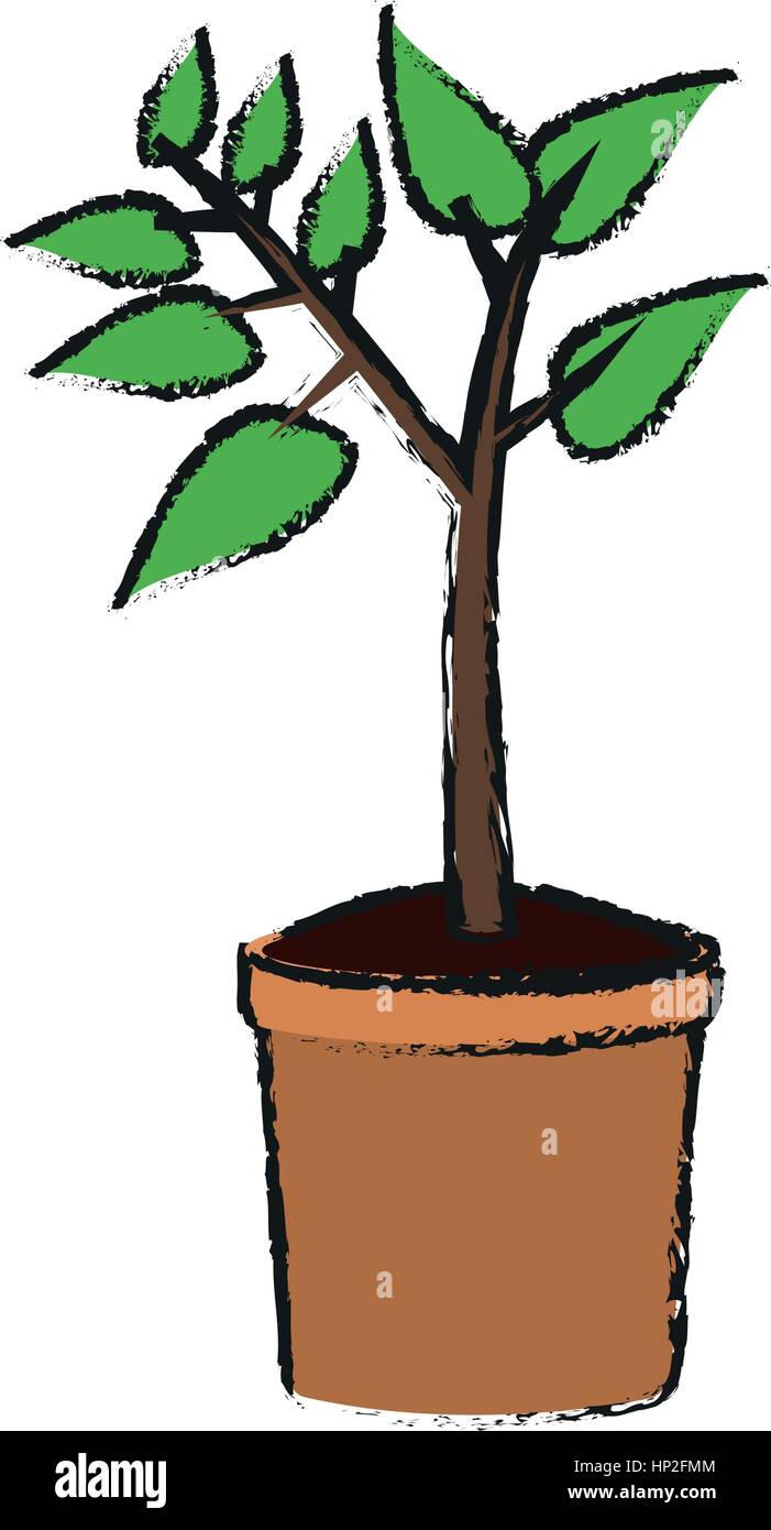 plant in a pot over white background. colorful design. vector ...