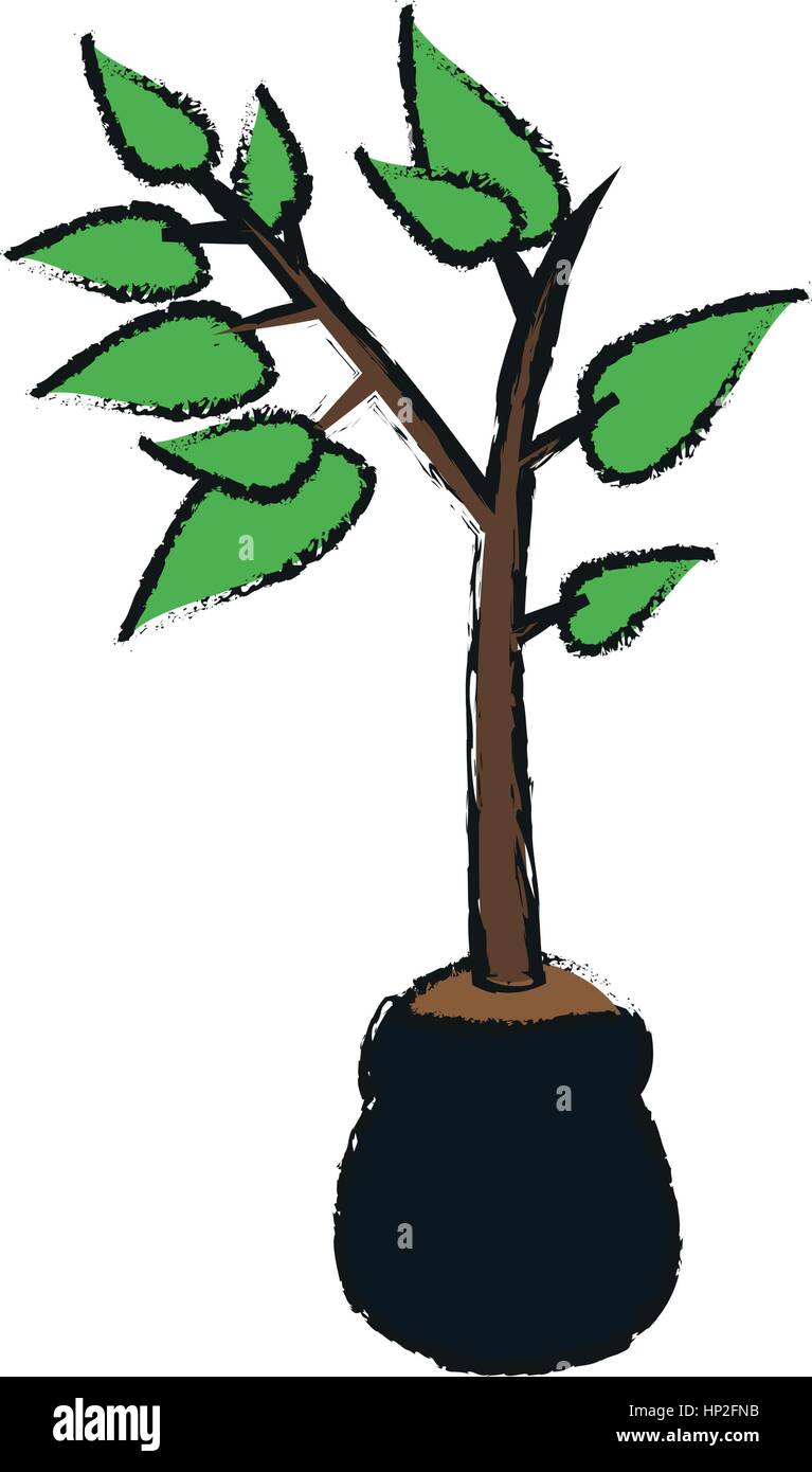 plant in a pot over white background. colorful design. vector ...