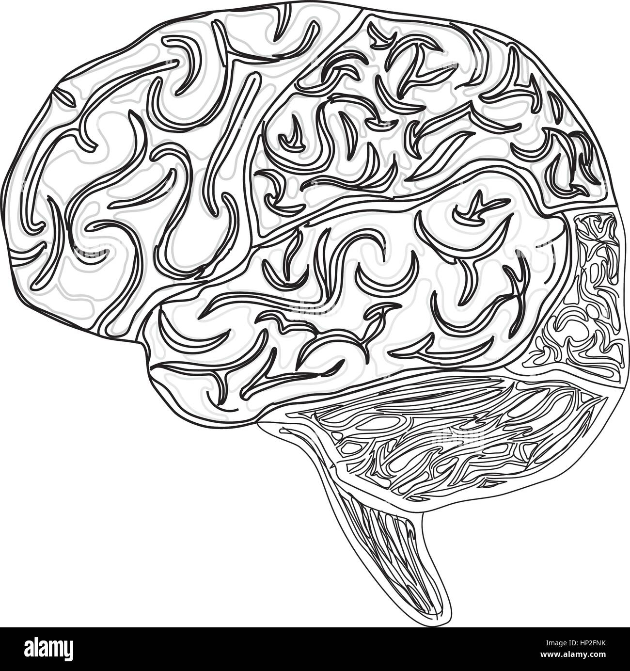 Human brain symbol icon vector illustration graphic design Stock Vector ...