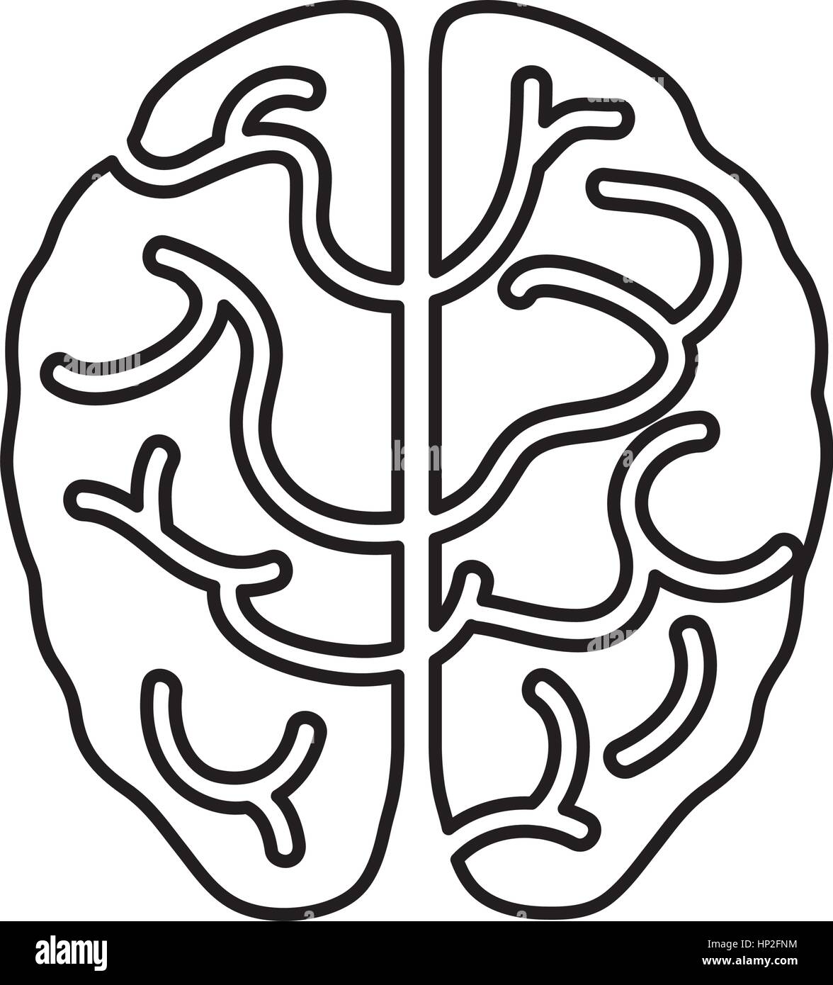 Human brain symbol icon vector illustration graphic design Stock Vector ...