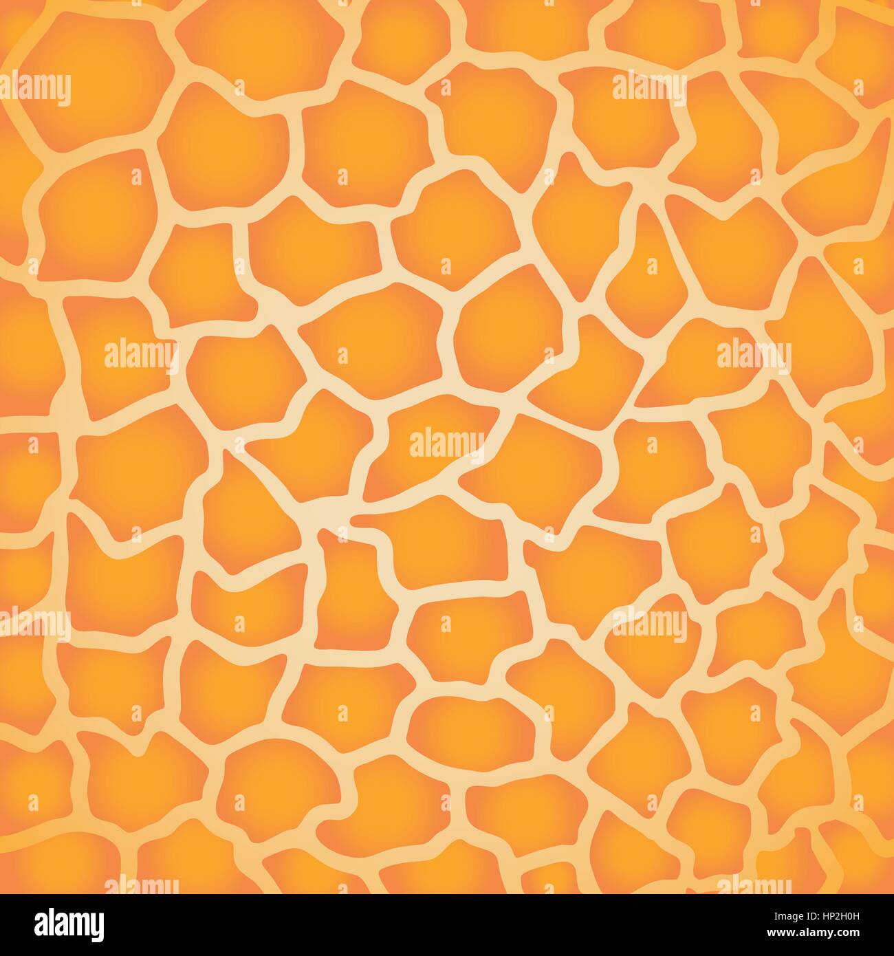 Animal spots background icon vector illustration graphic design Stock ...