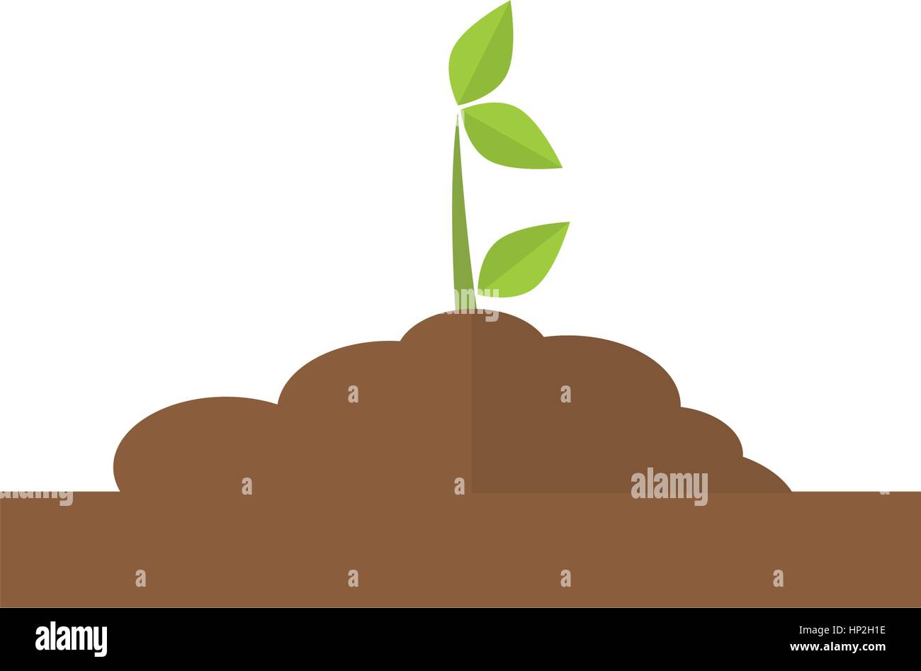 Nature plant ecology Stock Vector Image & Art - Alamy