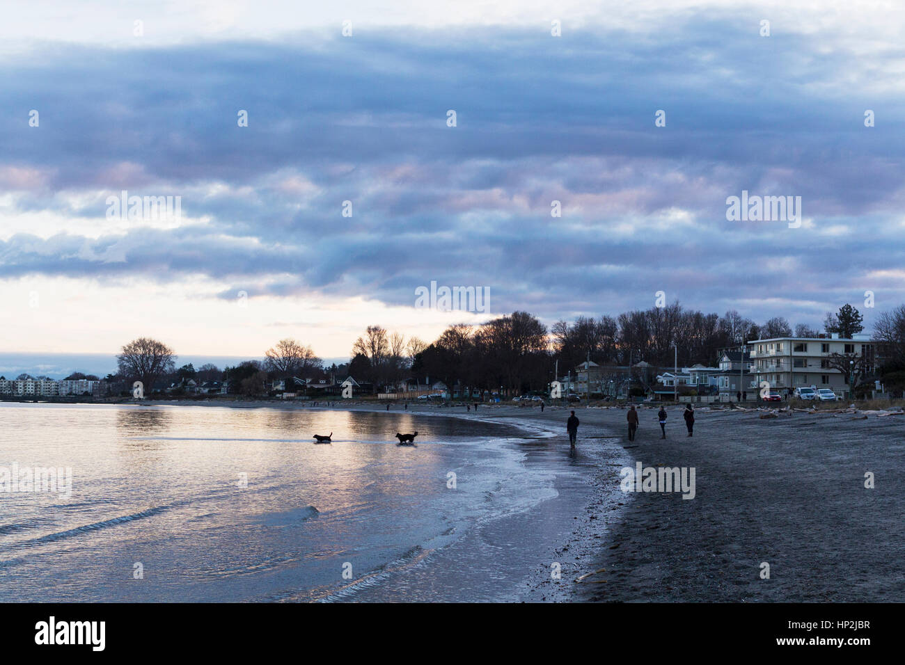 Oak bay marina in victoria bc hi-res stock photography and images - Alamy