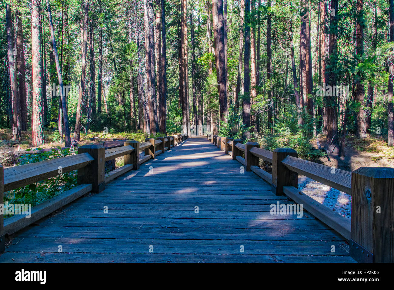 A Bridge Leading into the Unknown Stock Photo - Alamy