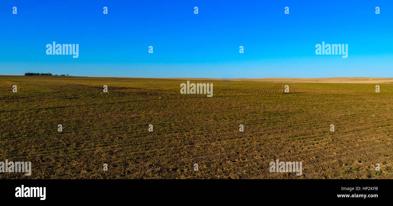 A Vast Farm on the Eastern Plains of Colorado Stock Photo - Alamy