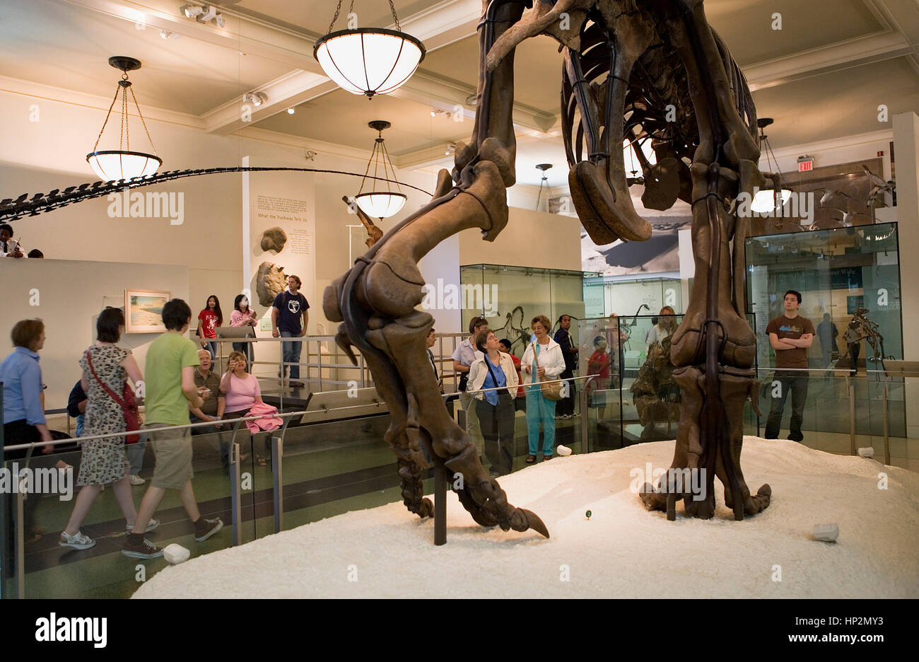 Dinosaur Human Stock Photos & Dinosaur Human Stock Images - Alamy
