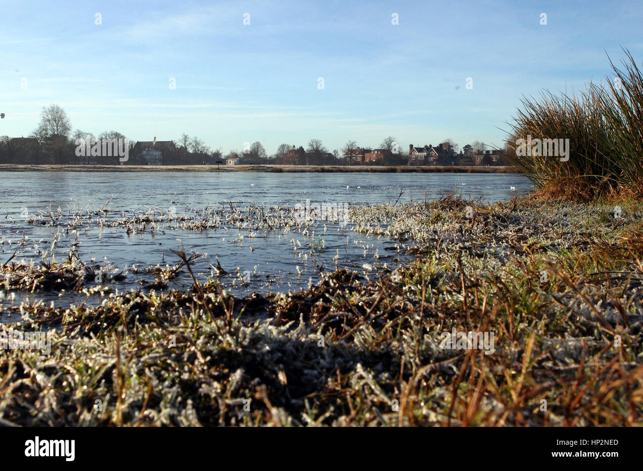 A bitterly cold and frosty morning on Wimbledon Common, London ...