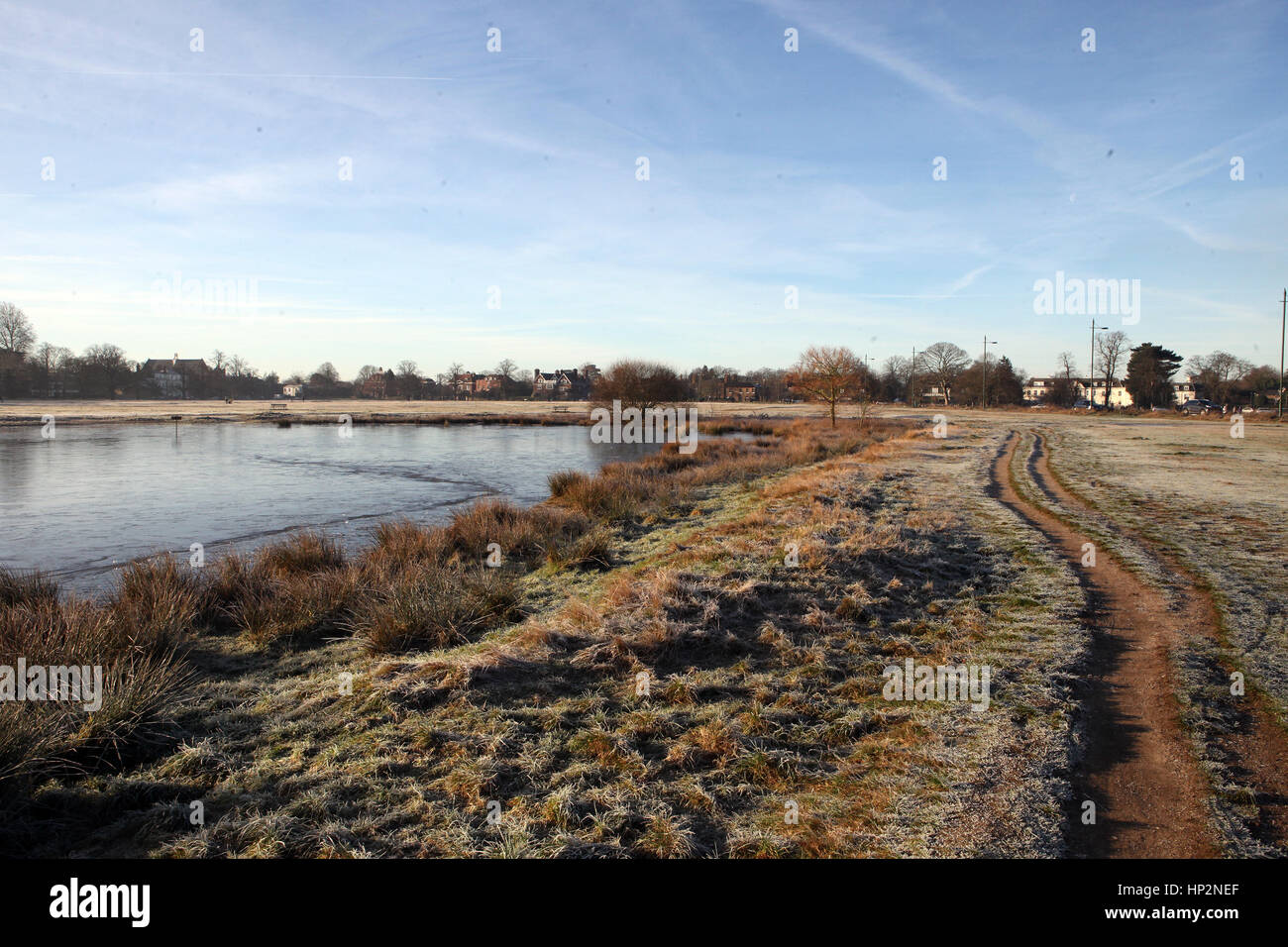 A bitterly cold and frosty morning on Wimbledon Common, London ...